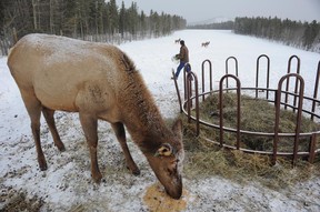 Canada’s last homesteaders: How determined pioneers turn the Yukon's ...