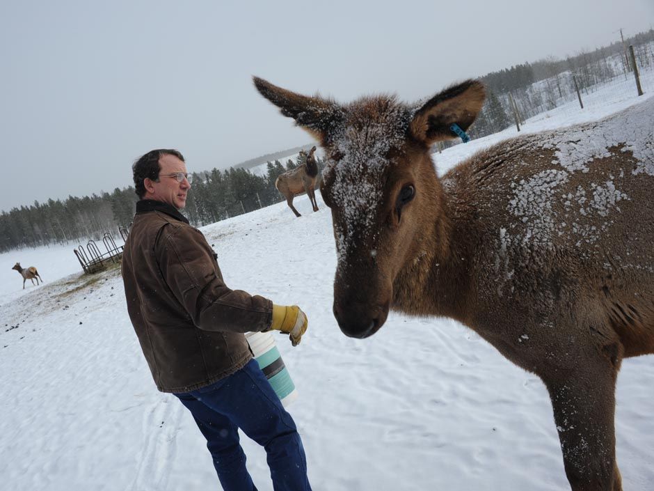 Canada’s last homesteaders: How determined pioneers turn the Yukon's ...