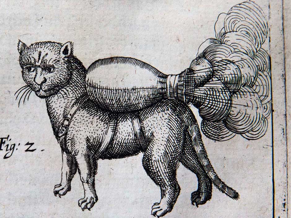 Bring on the rocket cats! Bizarre 16th-century artillery manual shows ...