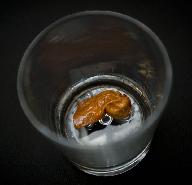 Yukon premier brings famed Sourtoe cocktail — complete with shrivelled ...