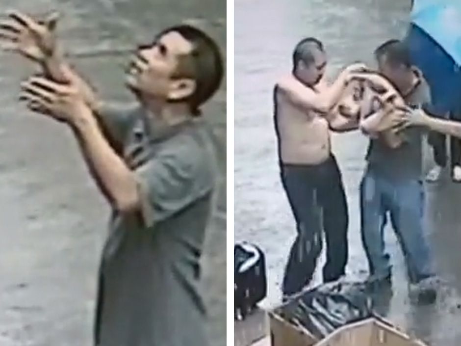 Incredible video shows man catching baby as it falls from building ...