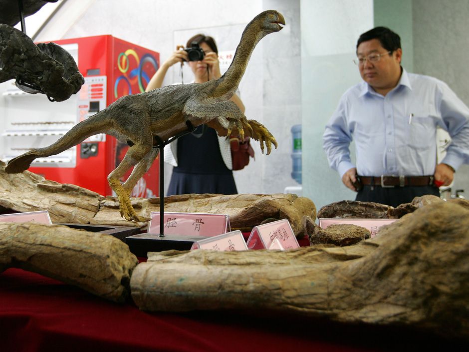 New study traces how dinosaurs evolved from fearsome meat-eaters to ...