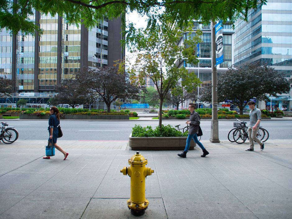 This downtown Toronto fire hydrant has cost parkers almost $300,000 ...