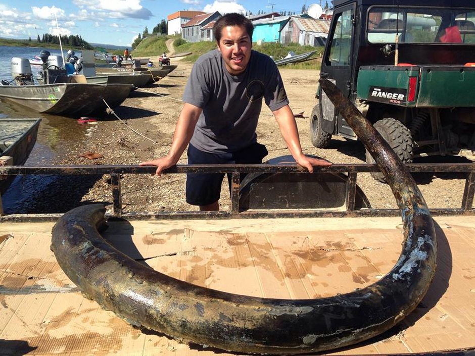 Man pulls 73 kg mammoth tusk out of Alaska river 22 years after mother ...