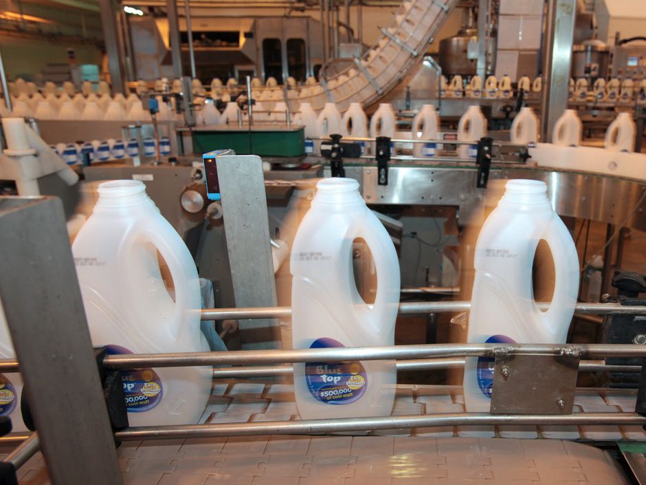 Jonathan Kay: Beware New Zealand’s dangerous experiment with the full ...