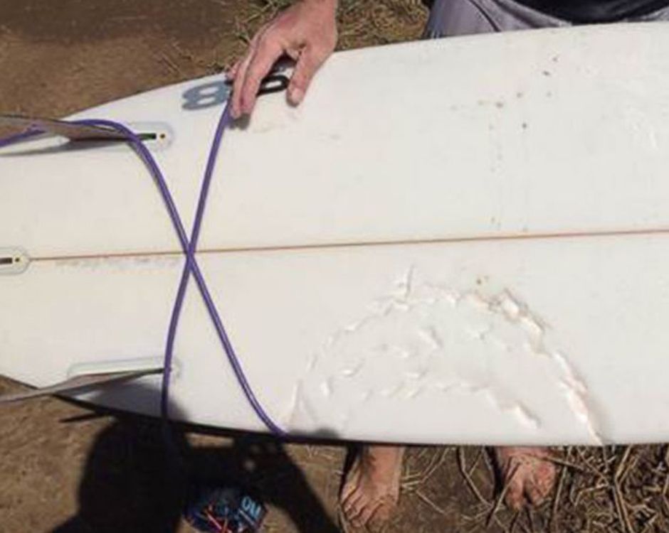 Shark pulling surfer out to sea stopped by man who grabbed its dorsal ...