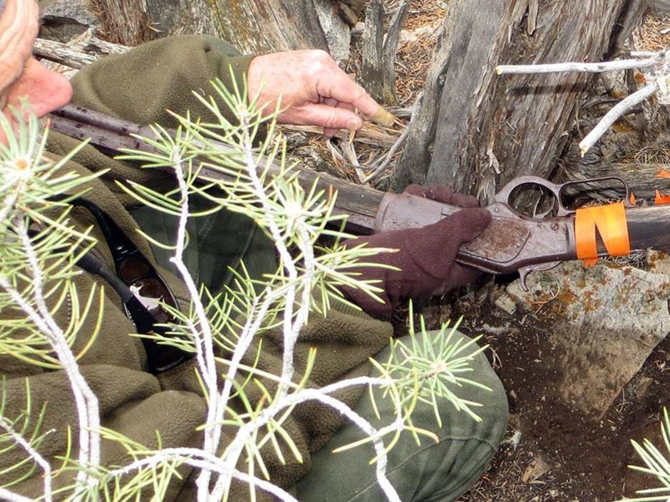 Rifle left leaning on Nevada tree for more than 100 years found just ...
