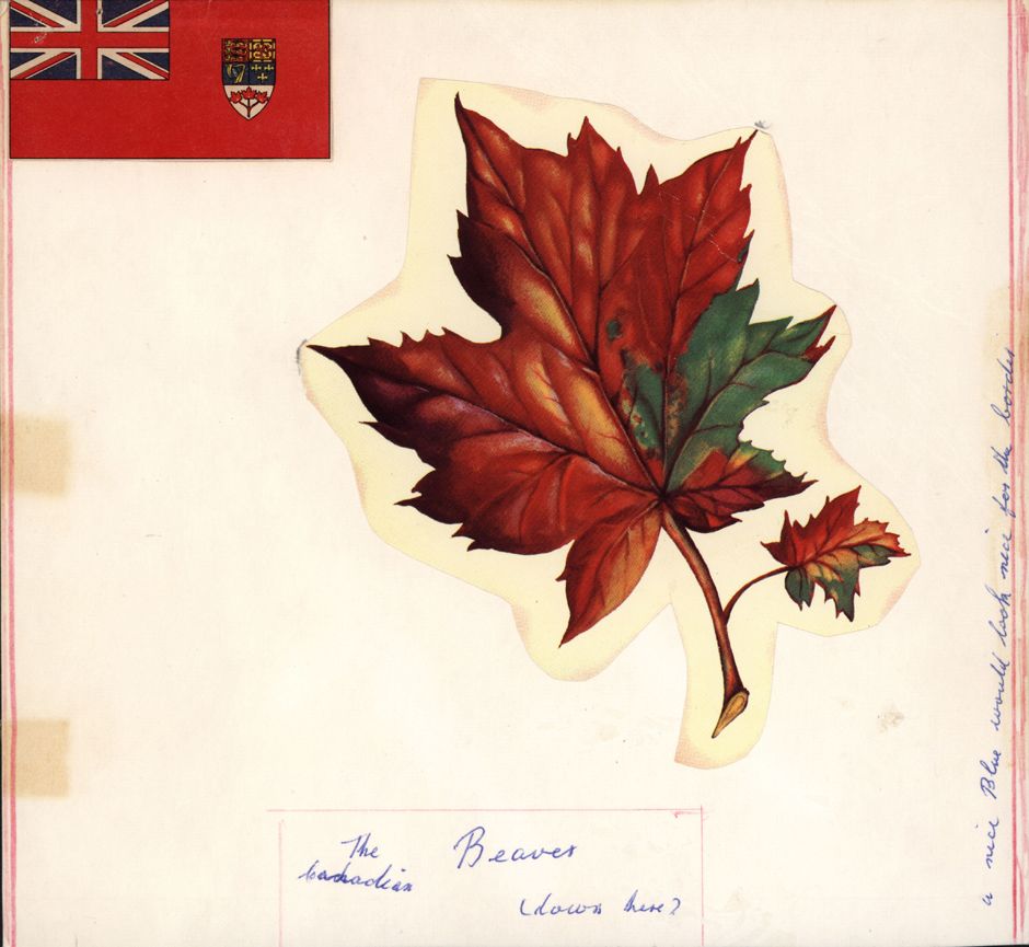 The tacky, confusing and downright horrifying Canadian flag designs ...