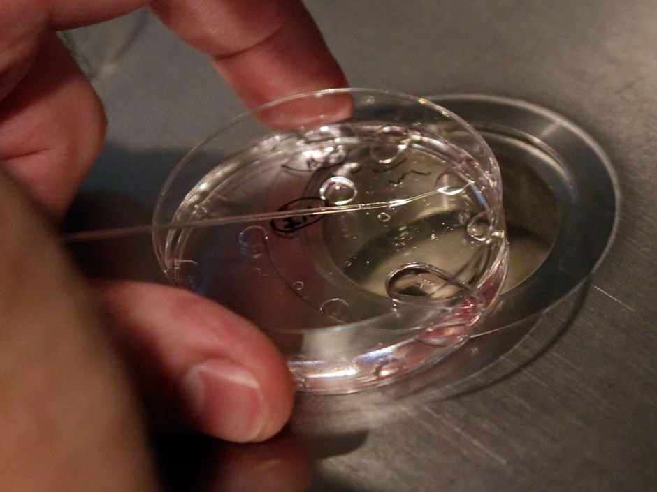 Fertility clinic first in Canada to allow IVF patients to ‘incubate ...