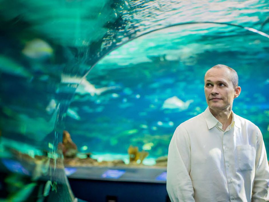 Found in Translation: David Vann is Big in France | National Post