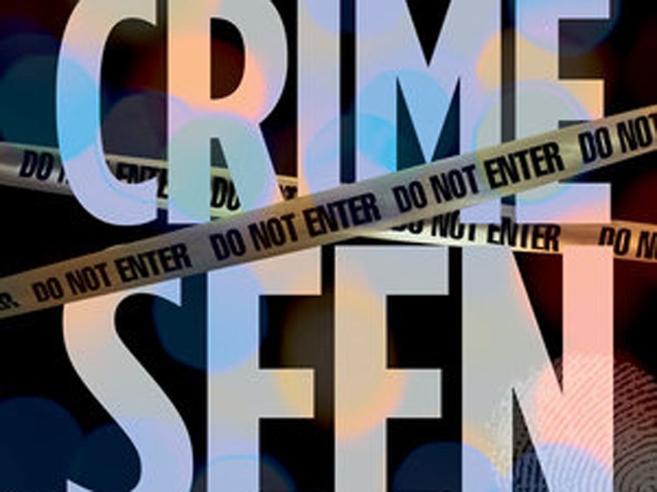 Kate Lines' Crime Seen, reviewed: Breaking rank | National Post