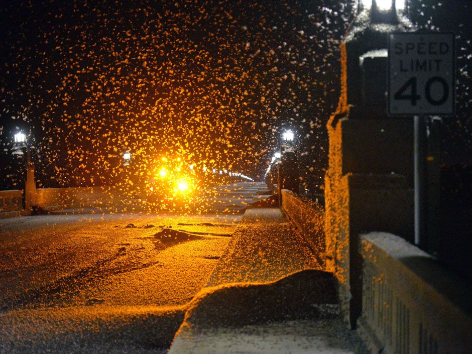 Mayfly swarm descends on bridge, causes a series of motorcycle crashes ...