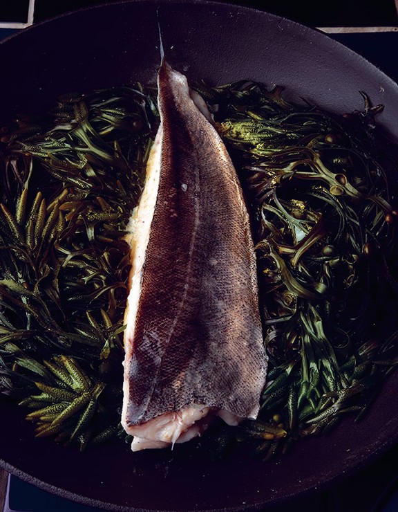 Forage for your supper in Ireland: Wild food walks offer a unique way ...