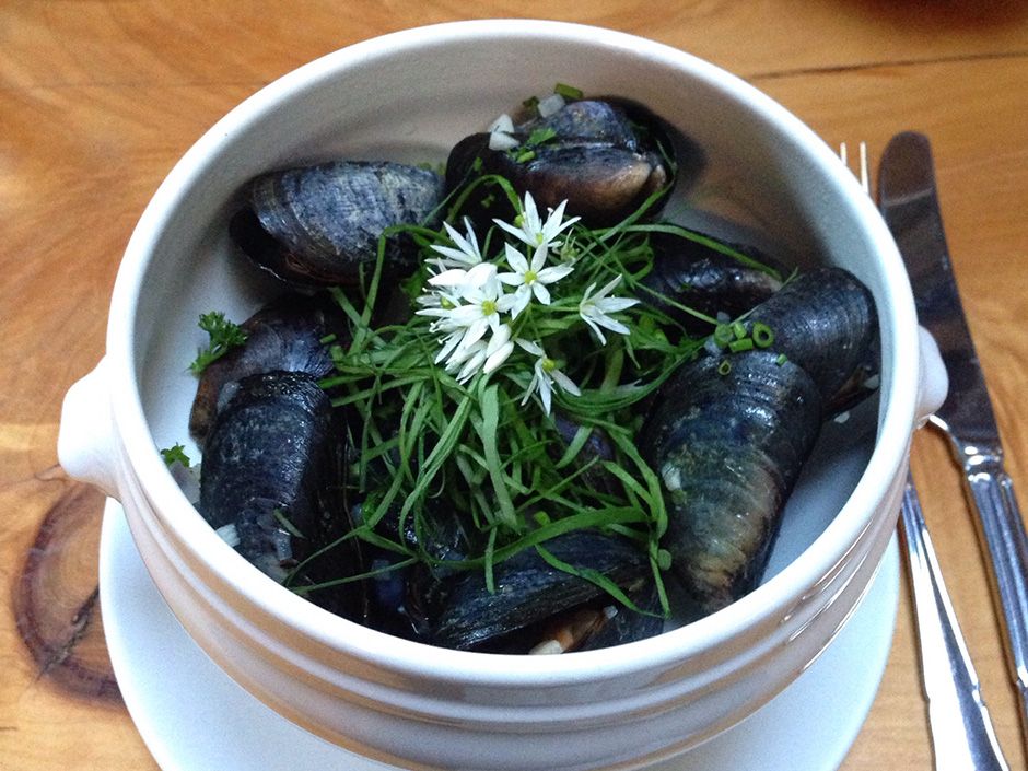 Forage for your supper in Ireland: Wild food walks offer a unique way ...