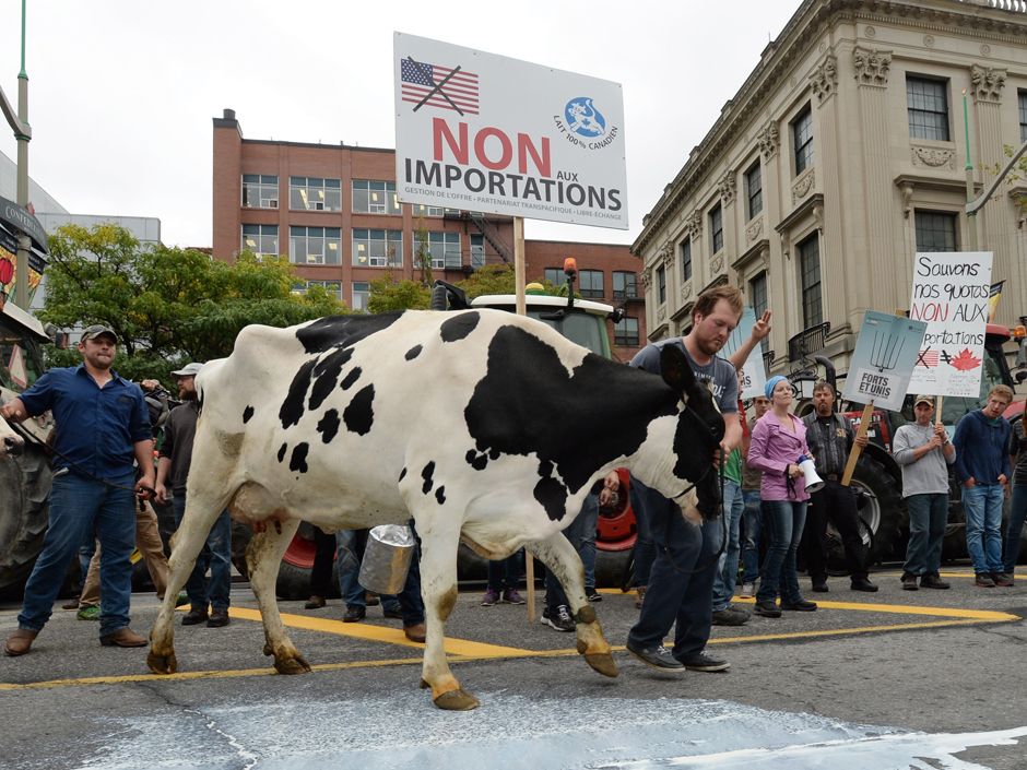 Dairy farmers protest upcoming trade deal, snarling traffic with ...