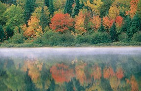 Don't miss Quebec's fall colours: September is best for viewing an ...
