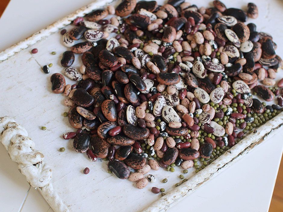 The best way to make beans is to cook dried beans from scratch: Master ...