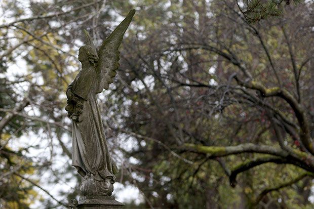 Thrilling walk with history's spirits at Victoria's Ross Bay Cemetery ...