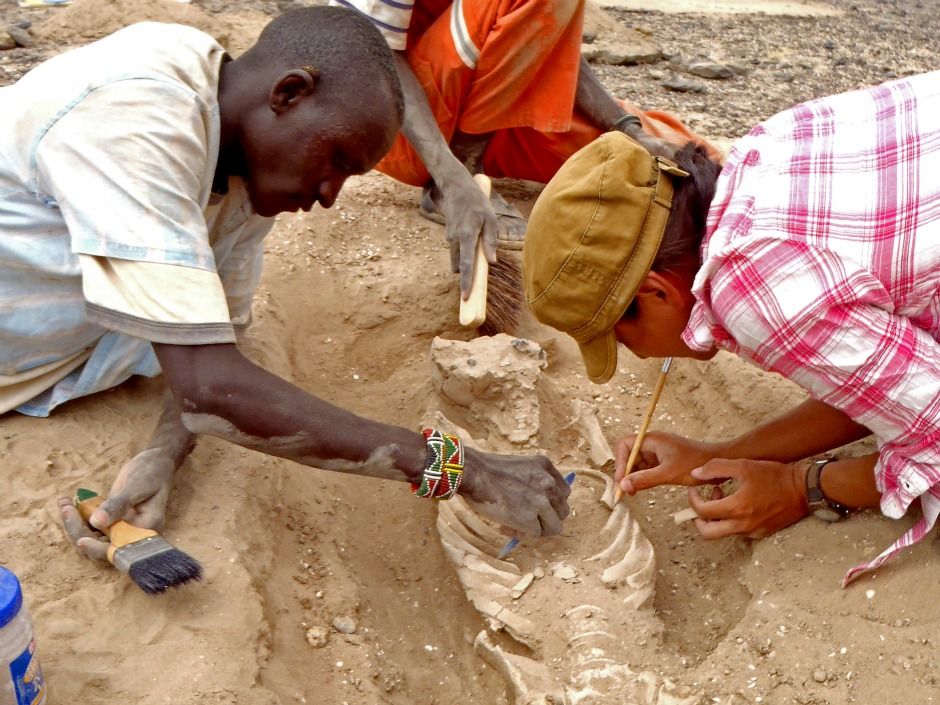 Fossilized skeletons from prehistoric battlefield help researchers ...