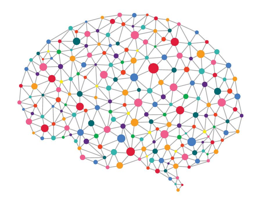 Kayt Sukel blends self-help and neuroscience to explain why we do what ...