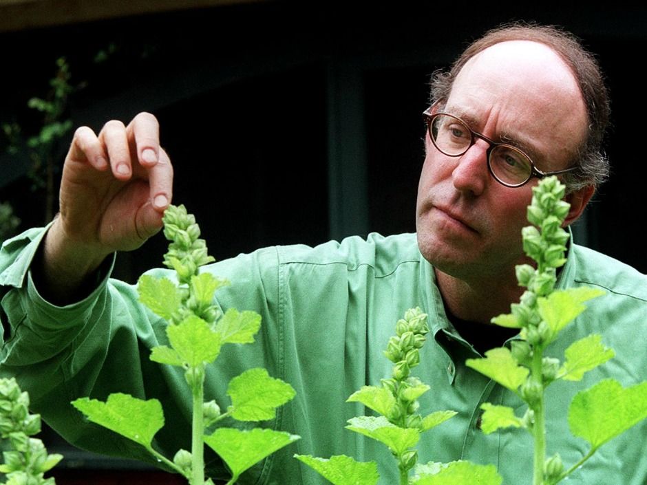 Michael Pollan's Netflix series Cooked says the art of cooking is in ...