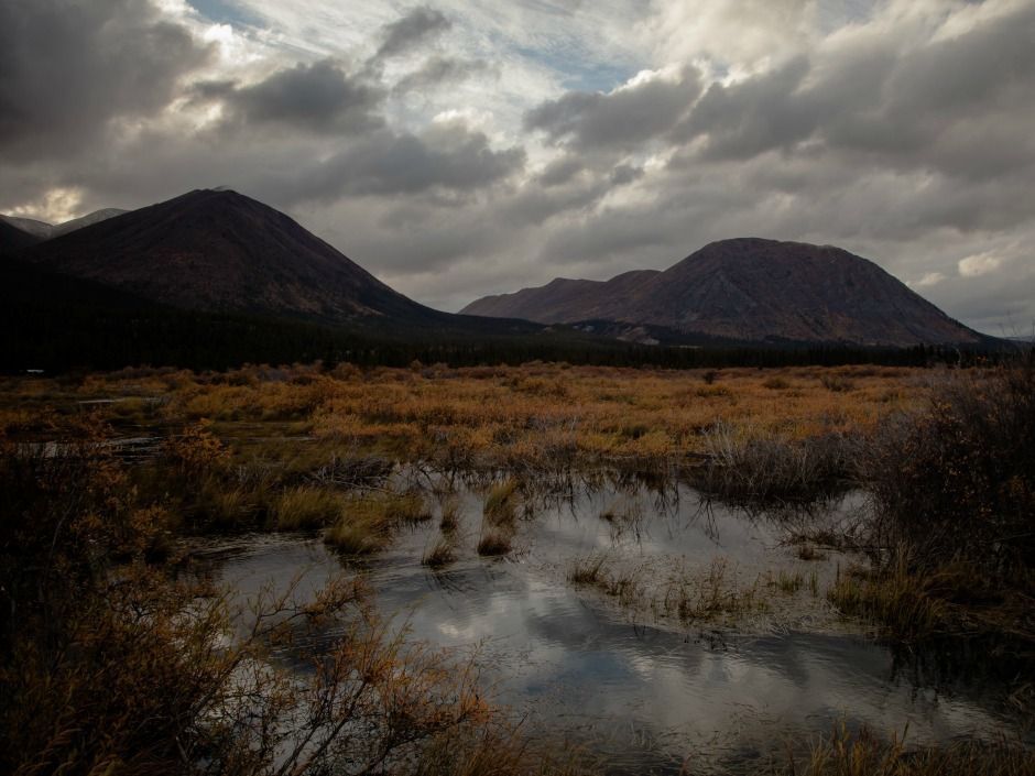 Tune out, turn off, unplug: Jonathan Taggart's Life Off Grid takes no ...