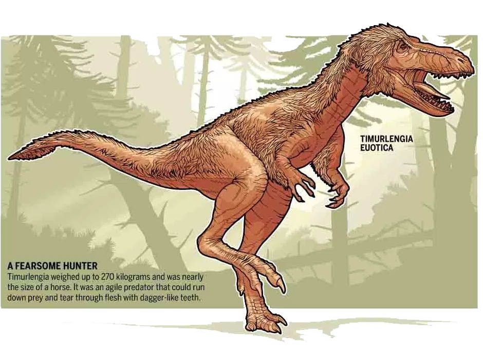 Recently discovered fossil of a puny — but fierce — dinosaur may be ...
