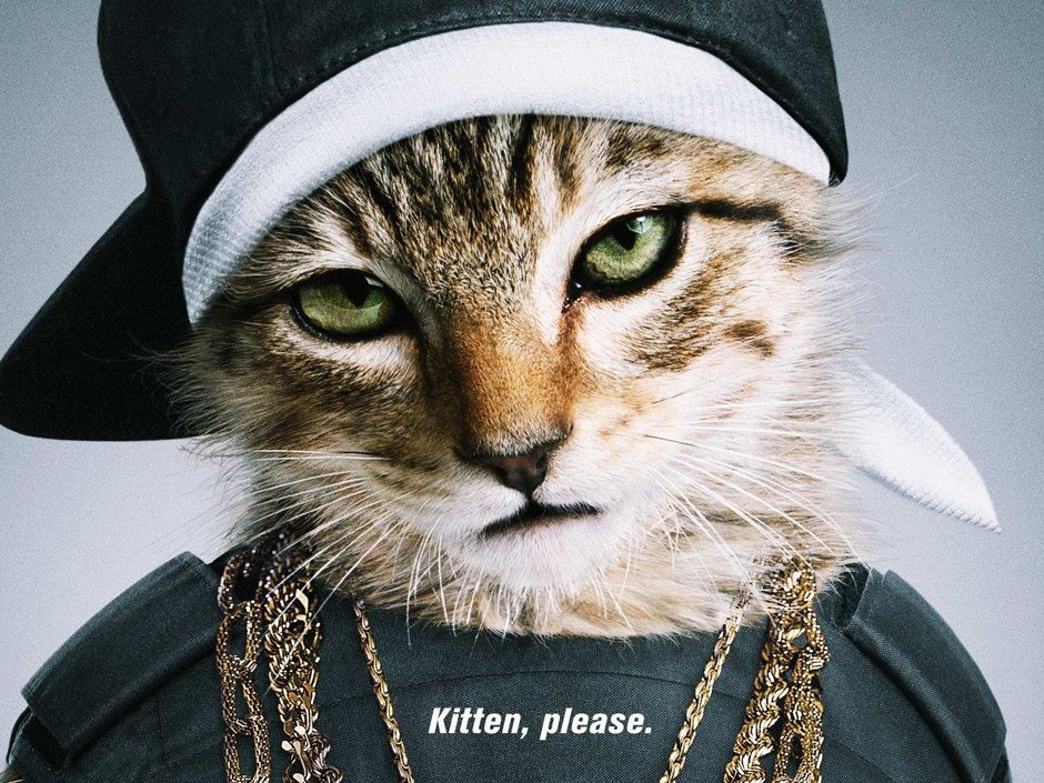 Why Keanu Reeves said no to playing a cat Keanu in Keanu and then said ...