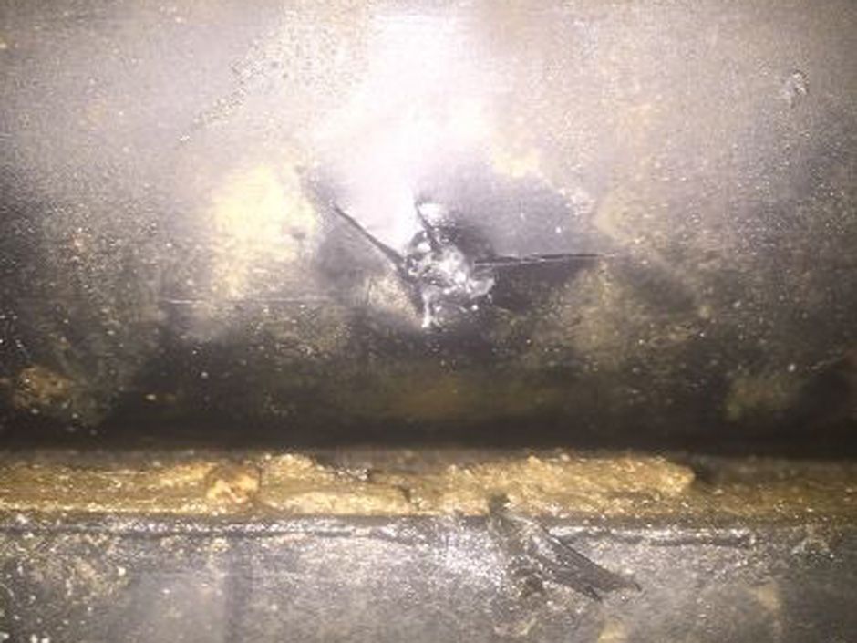 Dumb and dangerous: Alberta thief risks fiery death by puncturing fuel ...