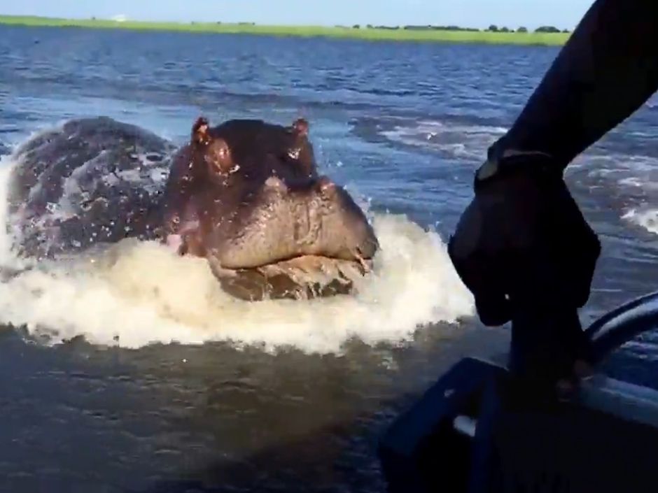 'They are evil monsters that attack us night and day': Senegal's ...