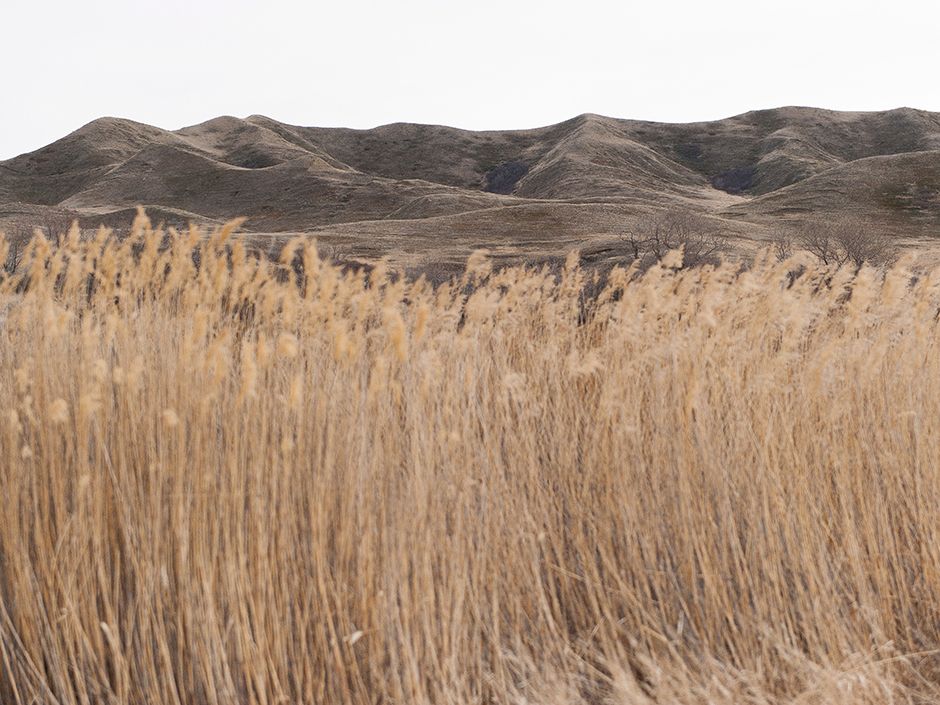 Lake, hikes and history draw visitors to Saskatchewan Landing ...