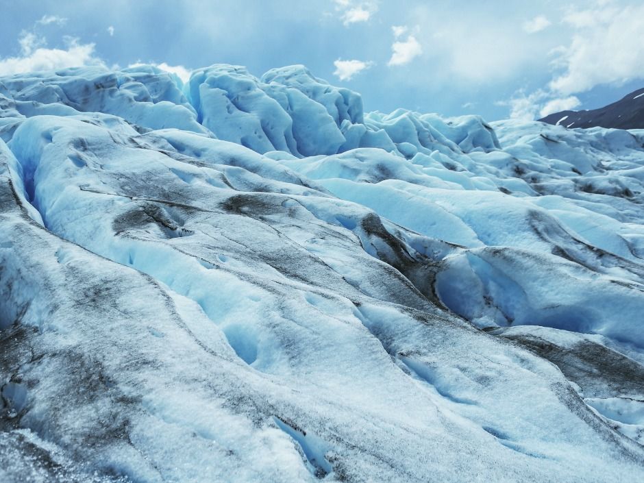 A catastrophic collision of human hunters and climate change killed off ...