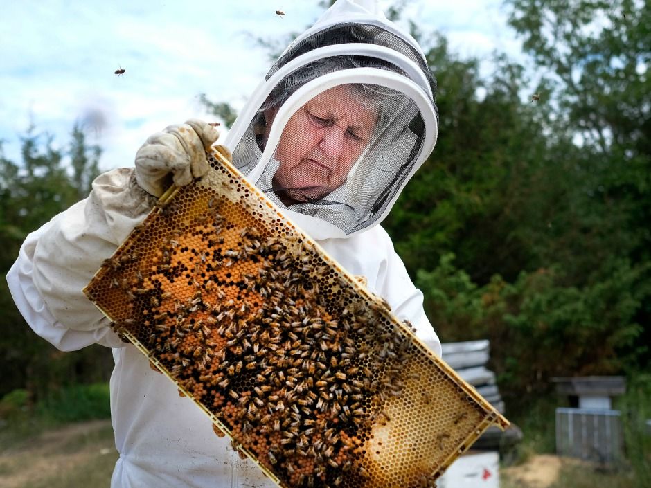 The great bee heist: Distraction, multiple vehicles and the cover of ...