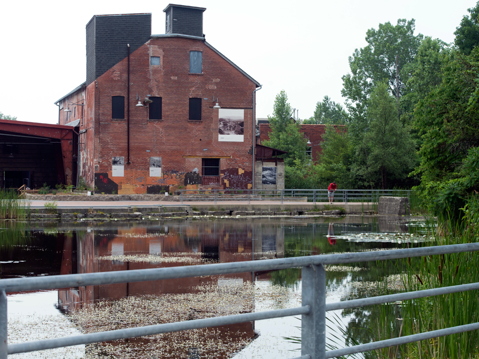 A glimpse into Toronto ravines: The secret 'remnants of wilderness ...