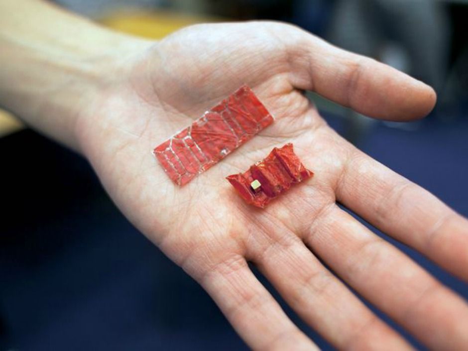 Robot in disguise: Inserted into a pill, this tiny robot unfolds to ...