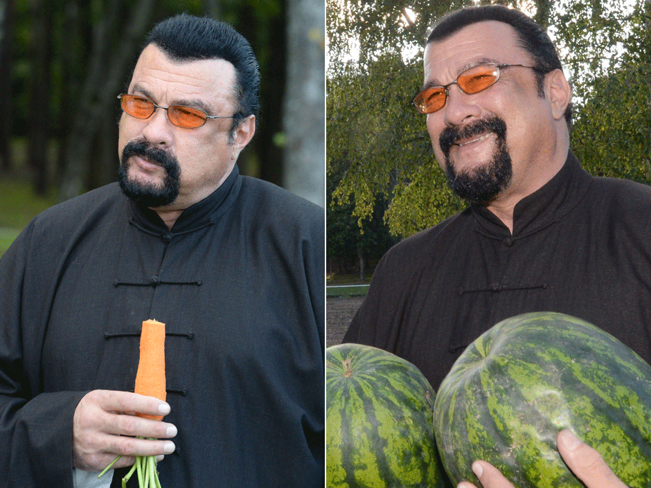 'Europe's last dictator' hosts action hero Steven Seagal, offers bounty ...