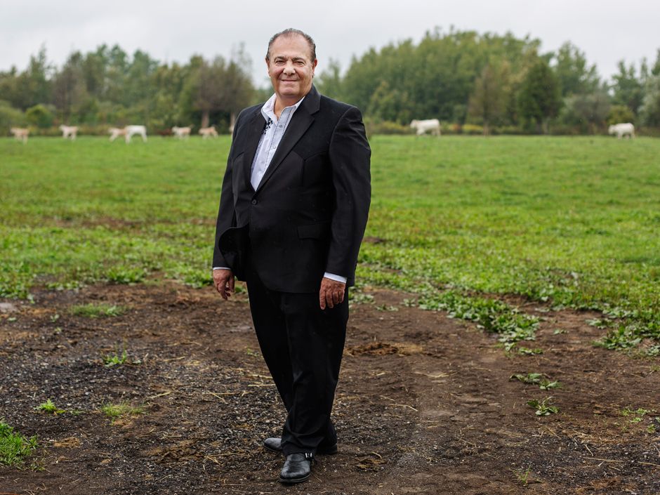 Toronto developer Shane Baghai is breeding rare cattle and marketing ...