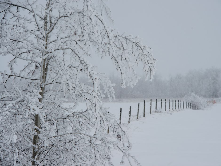 Changing your skin-care routine when cold weather hits can prevent any ...