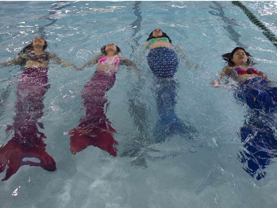 The Mermaid's Troublesome Tale: Sharks, stings and other hazards for ...