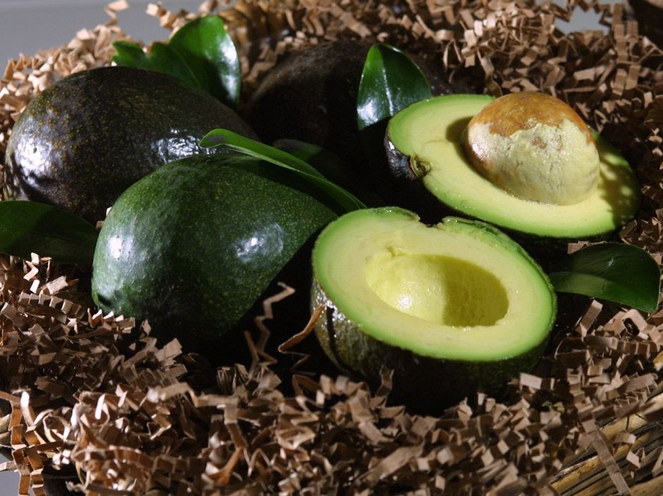 Guacamole costs to surge as avocado shortage, increased demand spark ...