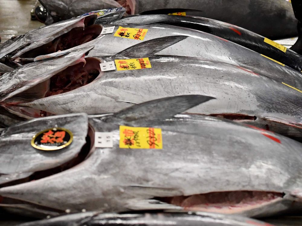 Remembering Tunagate, the fishy scandal that almost — but didn't — cost ...