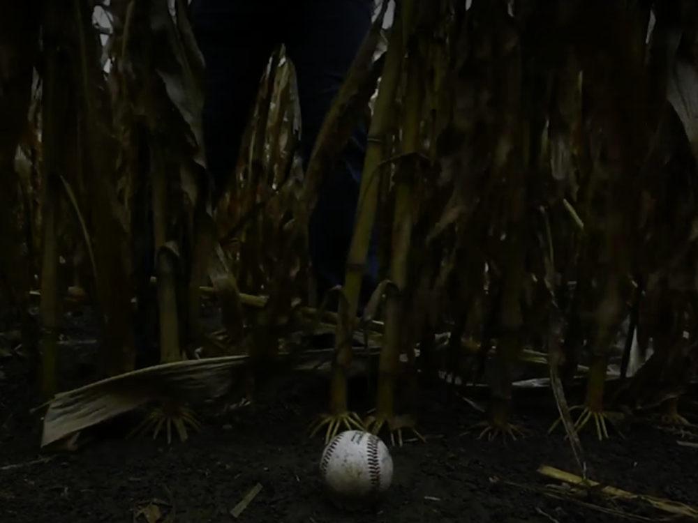 Real-life Field of Dreams: Kids come from miles around to play baseball ...
