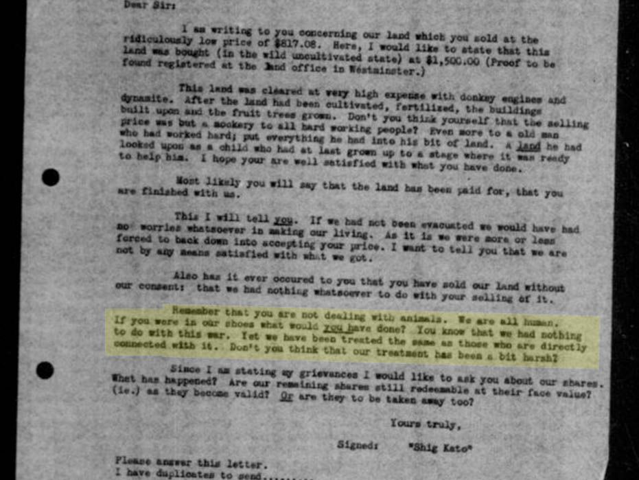 'You know that we had nothing to do with this war': Long-lost letters ...