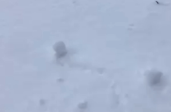 'It’s rare and magical': Everything you need to know about 'nature's ...