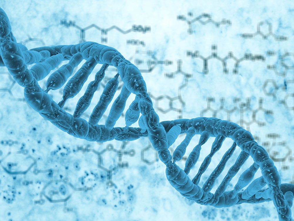 Colby Cosh: The U.S. government releases the gene genie from its bottle ...