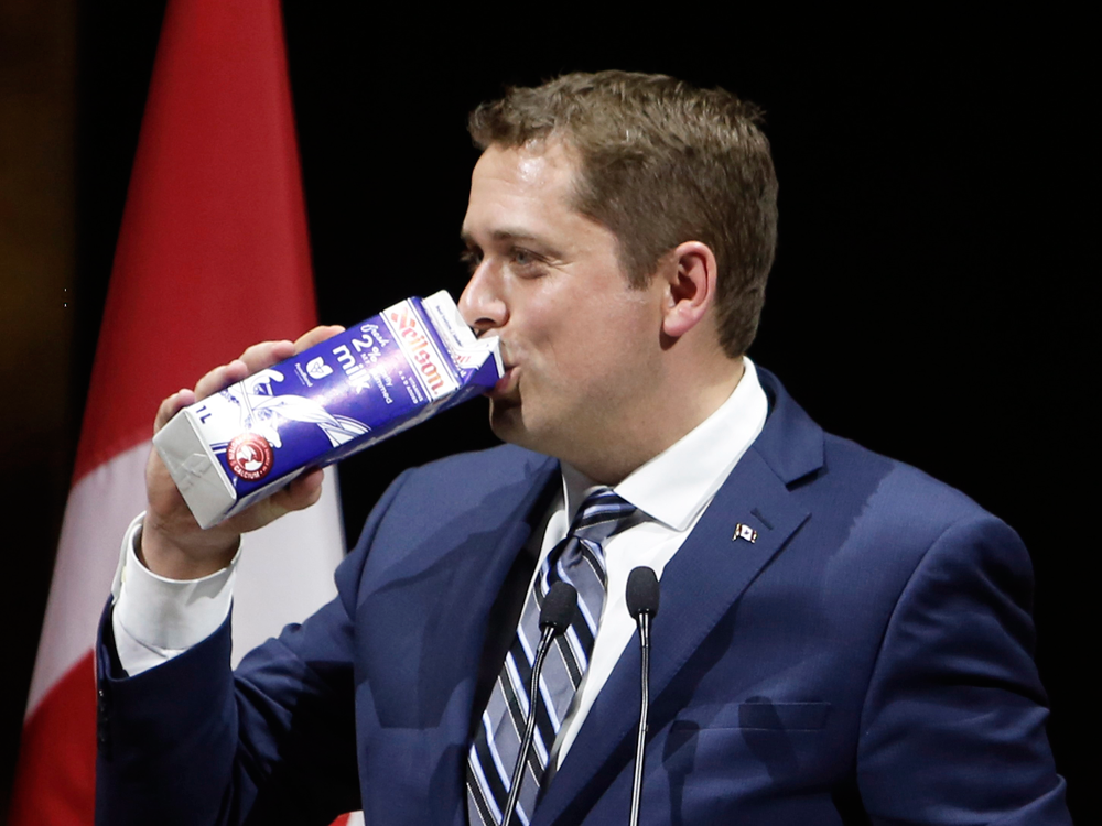 Colby Cosh: Andrew Scheer's CPC starting gun is more fizzle than sizzle ...