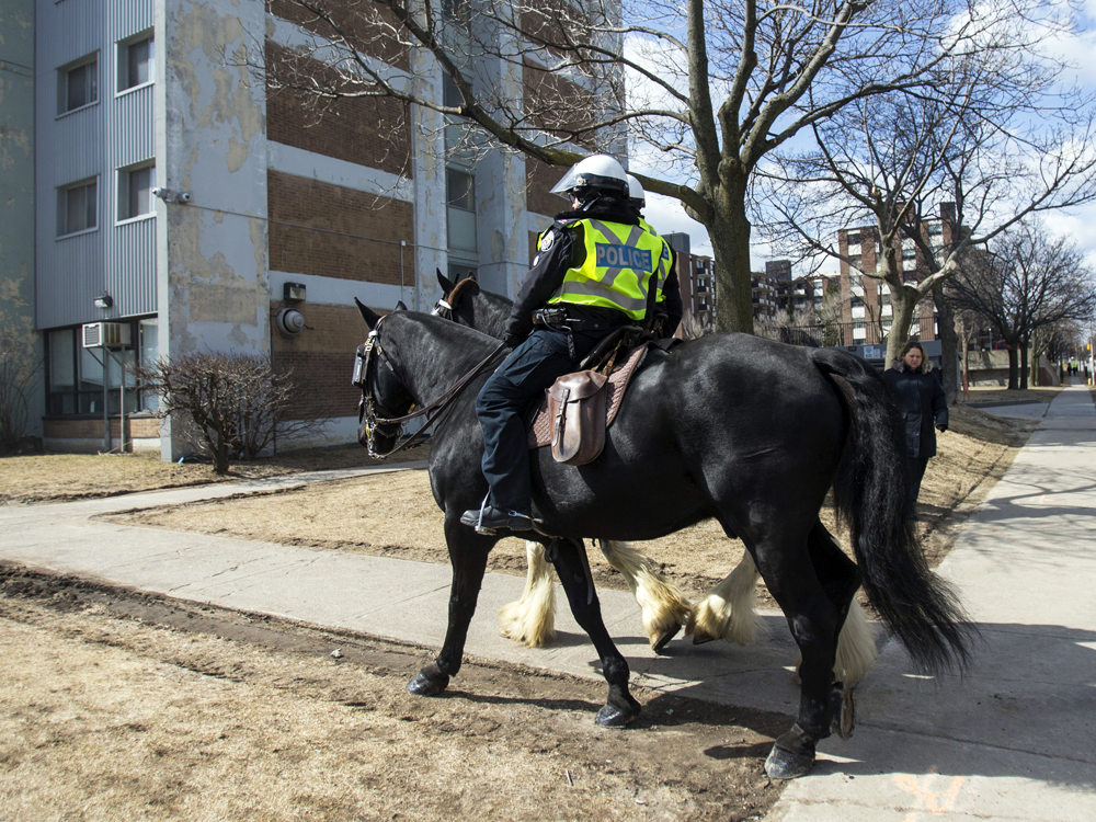 'Far more questions than answers': Two women charged after missing ...