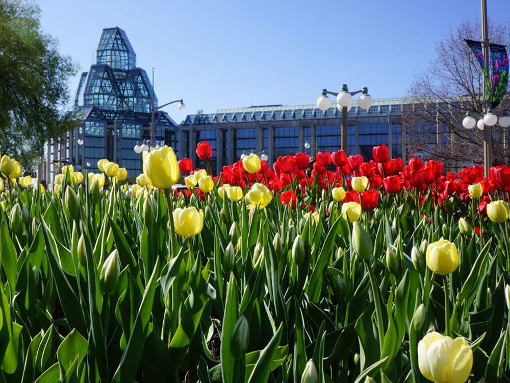 Get out and active this spring in the nation’s capital with these 8 ...