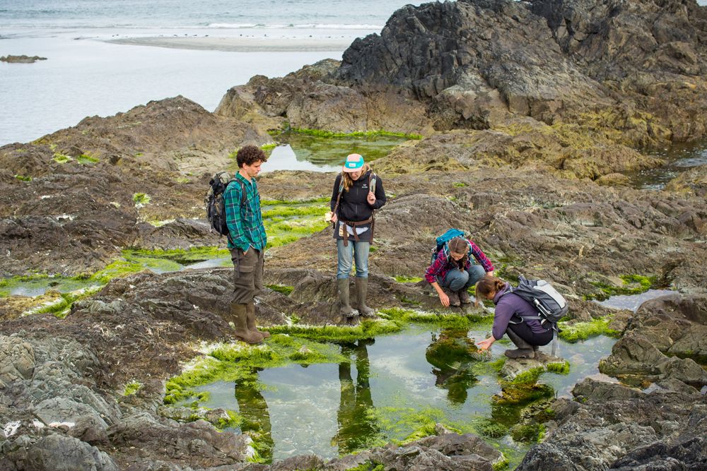 Model outdoorsman: Why this supermodel is living off-grid on an island ...