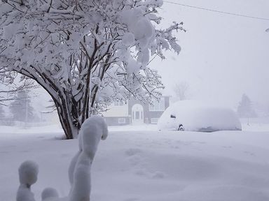 Rex Murphy: Comey, Clinton are proof that it's egotism that corrupts ...